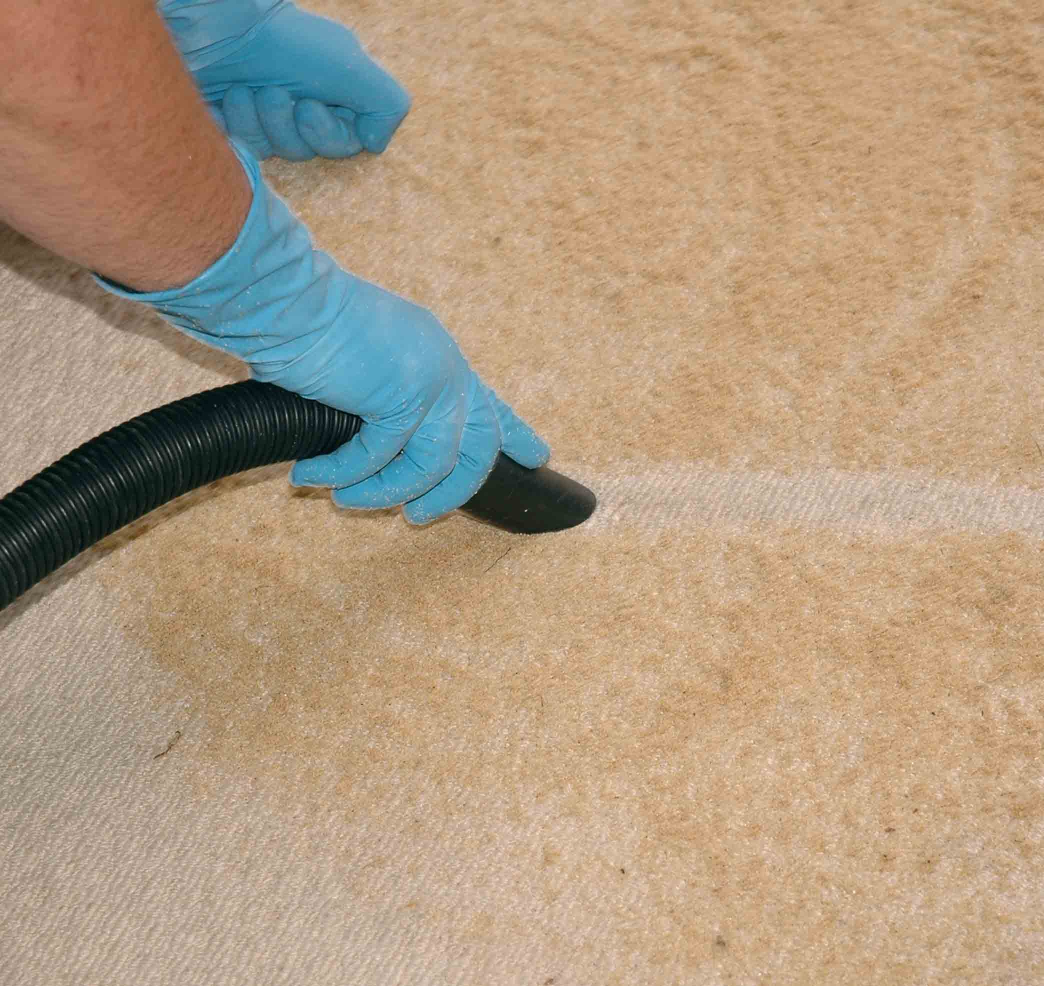 Professional Carpet Cleaning in London by Fantastic Cleaners